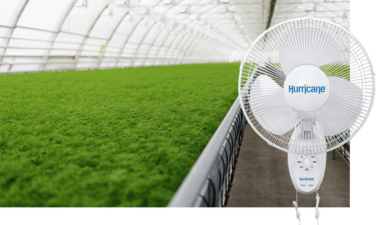 Hurricane Fans – Hurricane fans