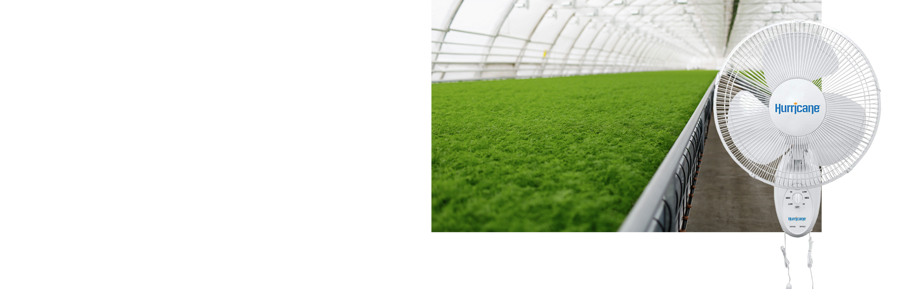 Hurricane Fans – Hurricane fans